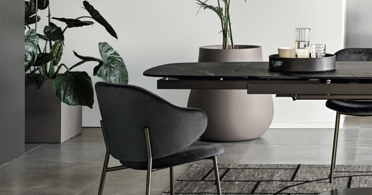 Calligaris Chair HOLLY CS2037 - Chairs | Equal furniture